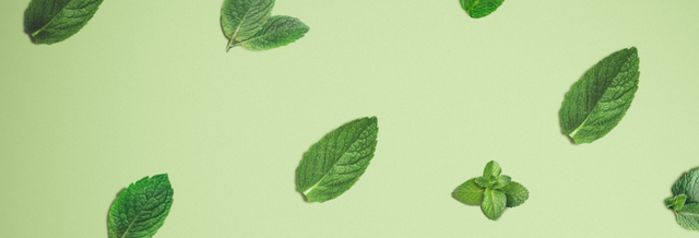 ミントティー – クスミティー 公式オンラインショップ